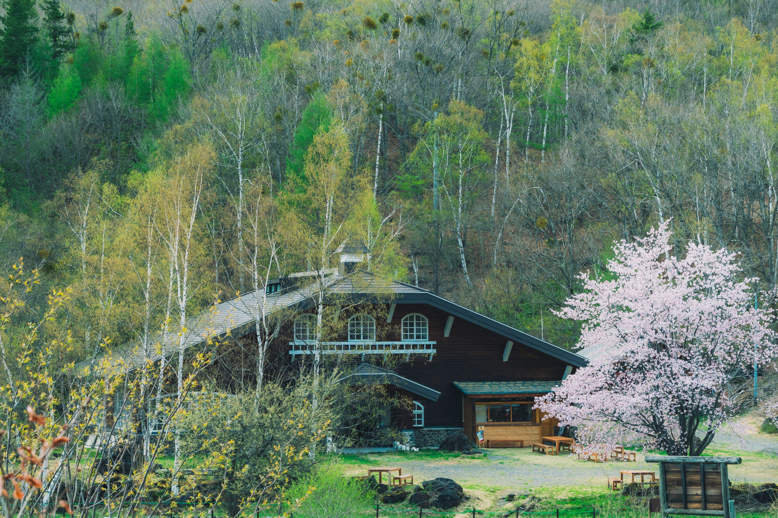 田舎の同一エリアにカフェを2店舗展開できるのか？ | Raicho inc.