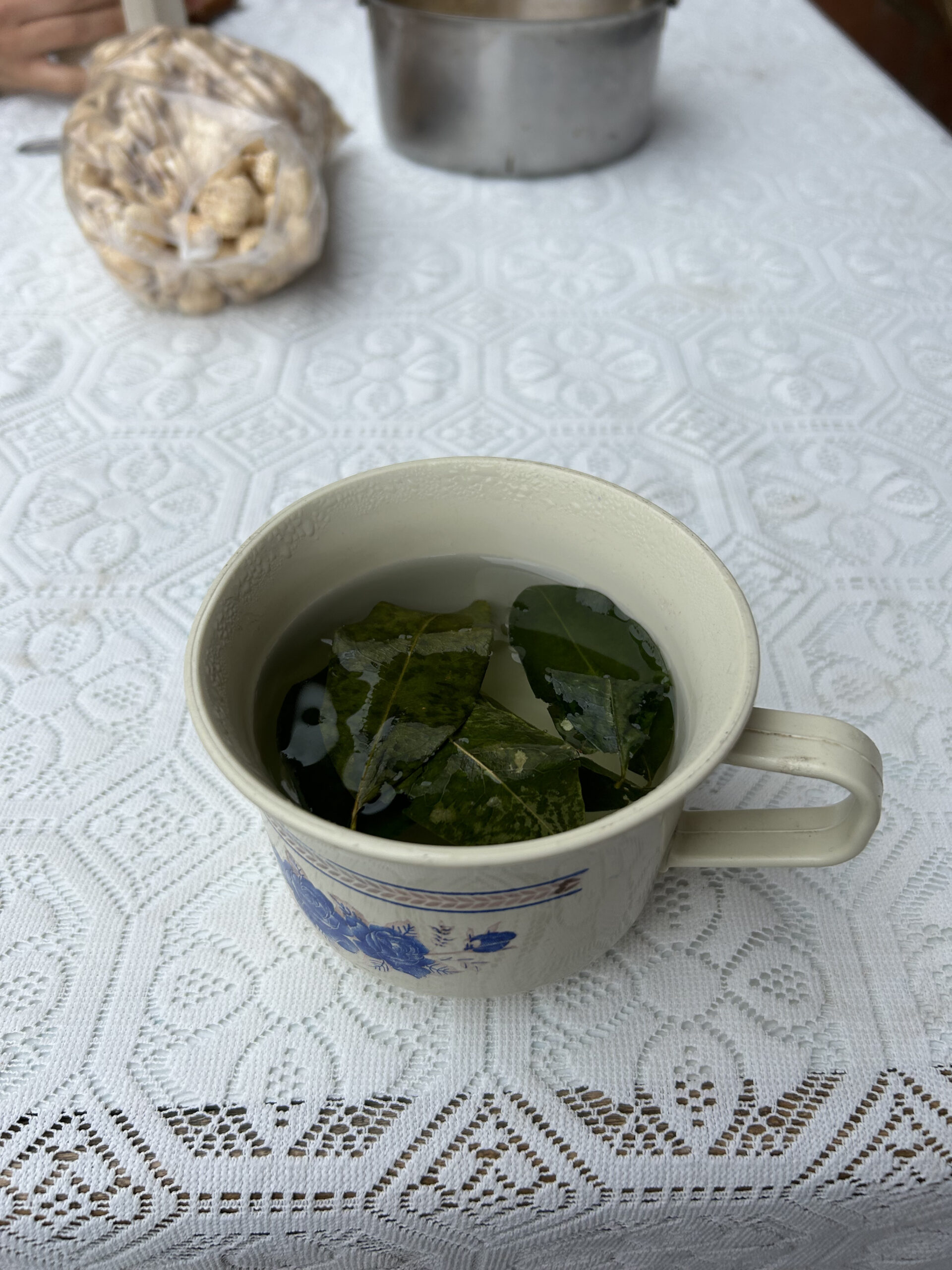 ハイカーの聖地、ペルーのワラス〜Santa Cruz Trek〜 | Raicho inc.